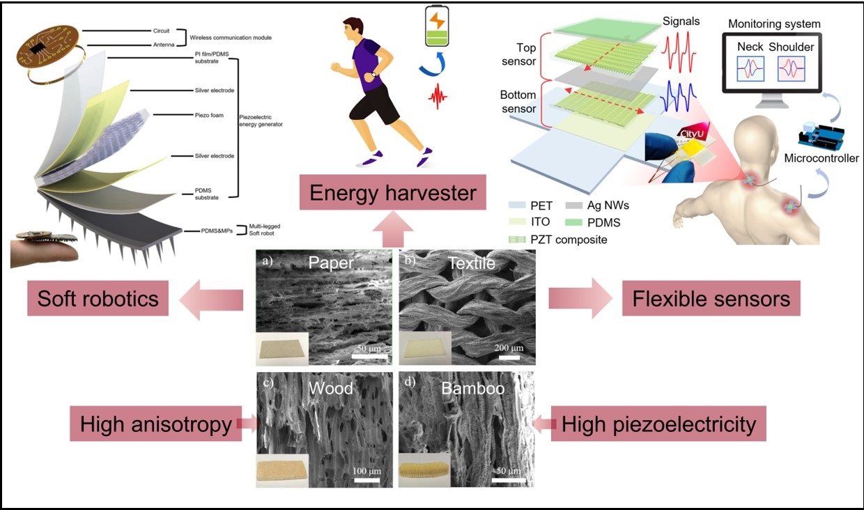 ZB Yang Lab: Research